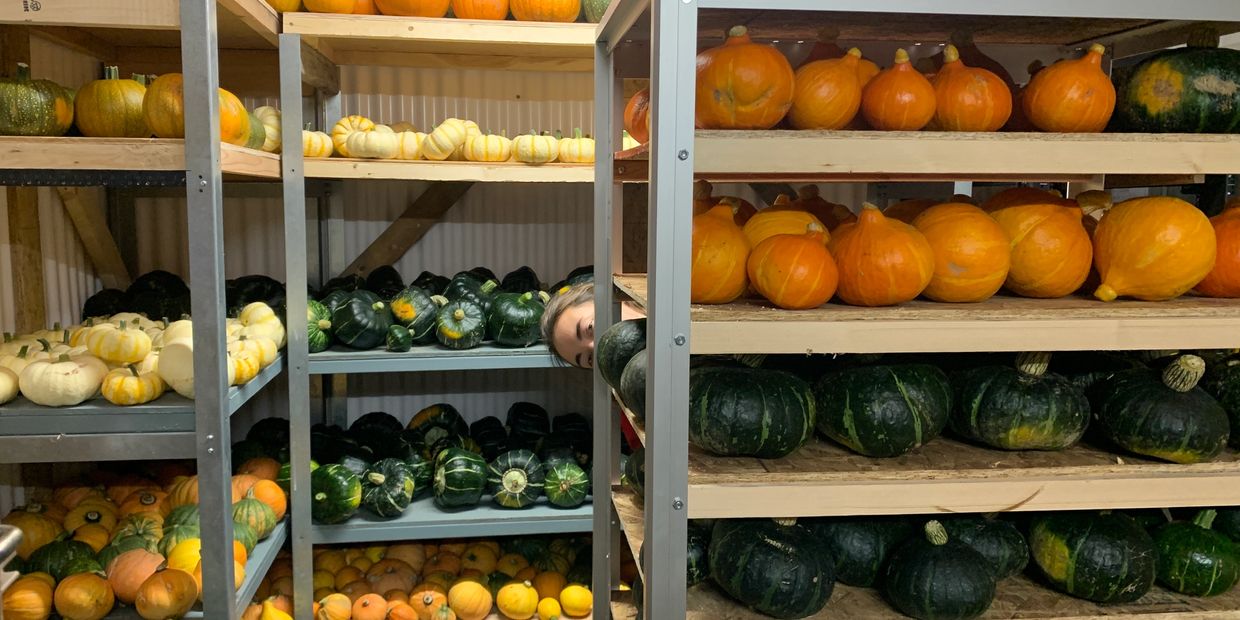 Local Winter Vegetables | Offbeet Farm